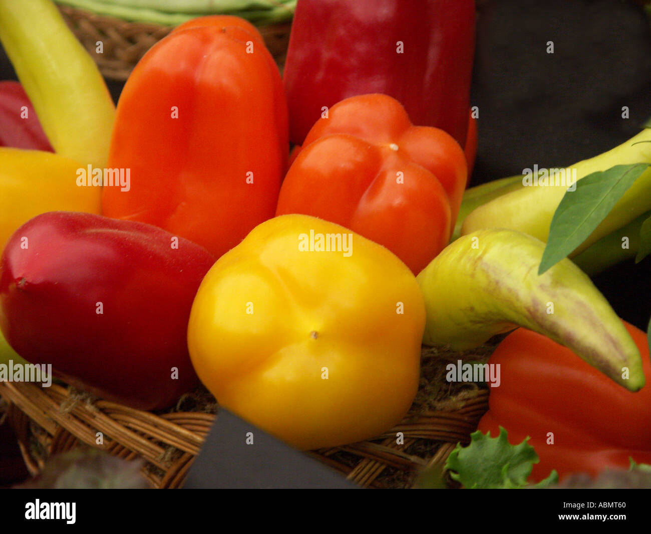 Stunning visual display of vegetables harvested for competition indoors ...