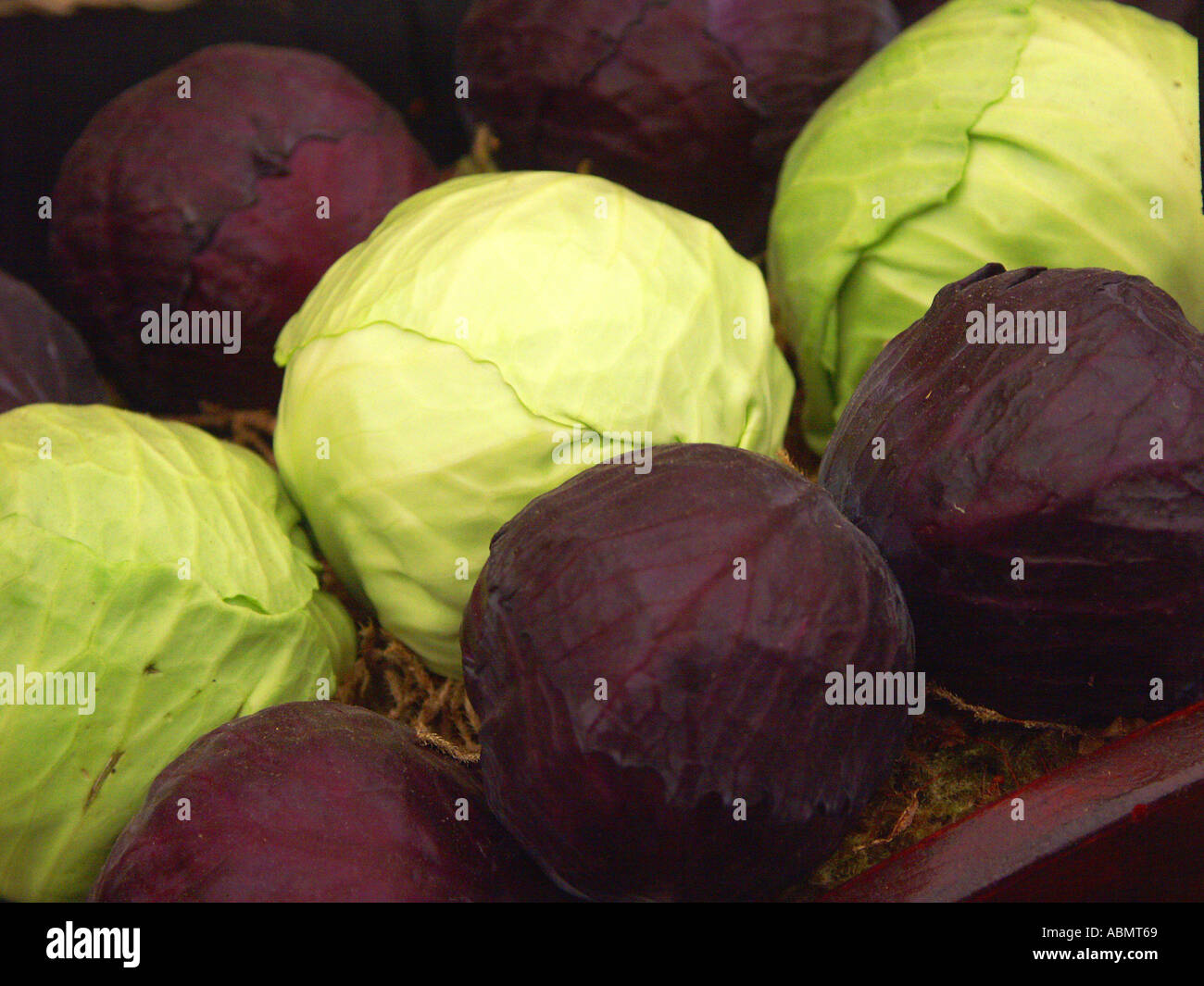 Stunning visual display of vegetables harvested for competition indoors ...