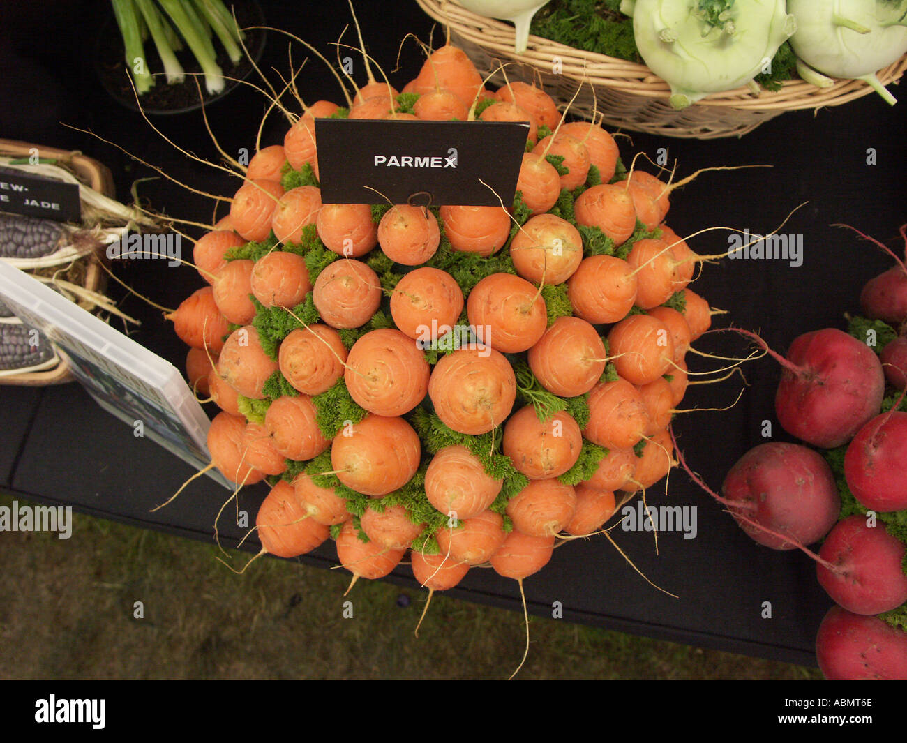 Stunning visual display of vegetables harvested for competition indoors ...