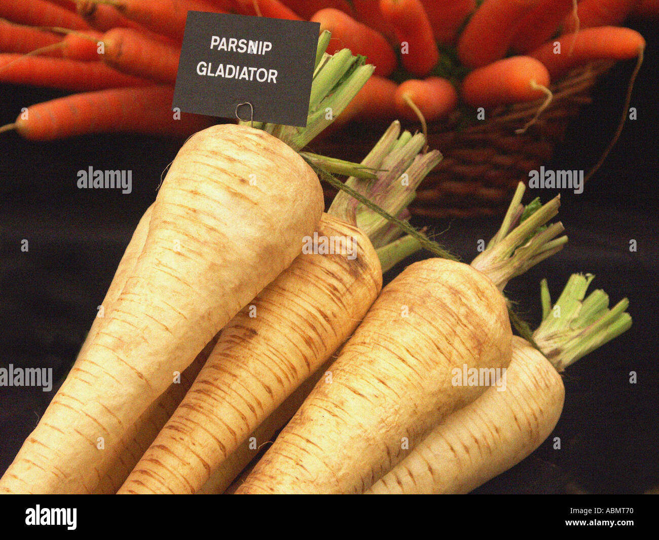 Stunning visual display of vegetables harvested for competition indoors ...