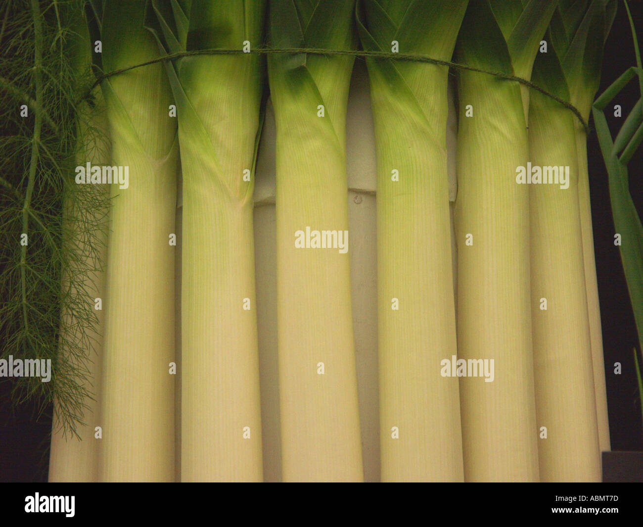 Stunning visual display of vegetables harvested for competition indoors ...