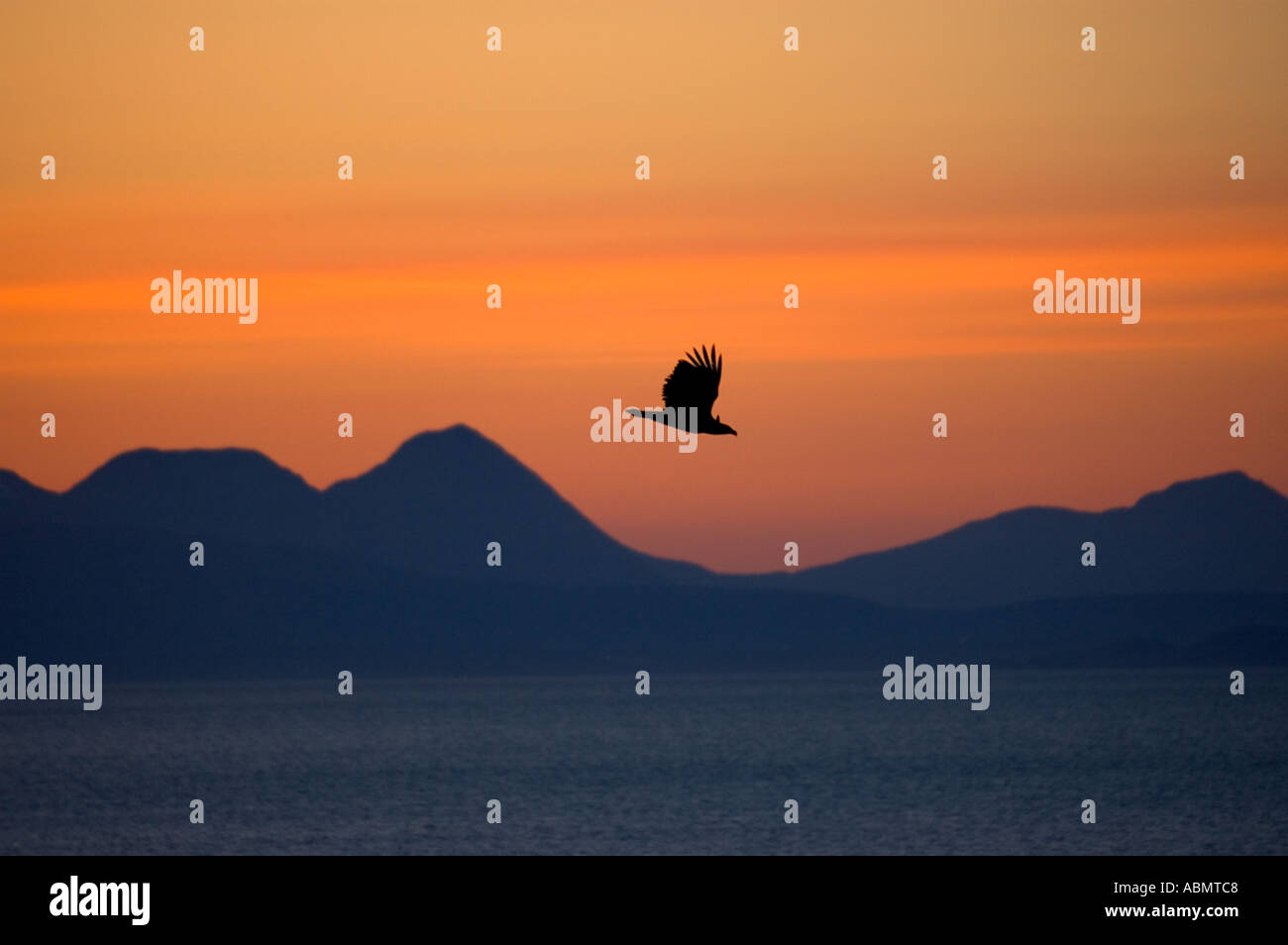 Chiniak Bay High Resolution Stock Photography and Images - Alamy