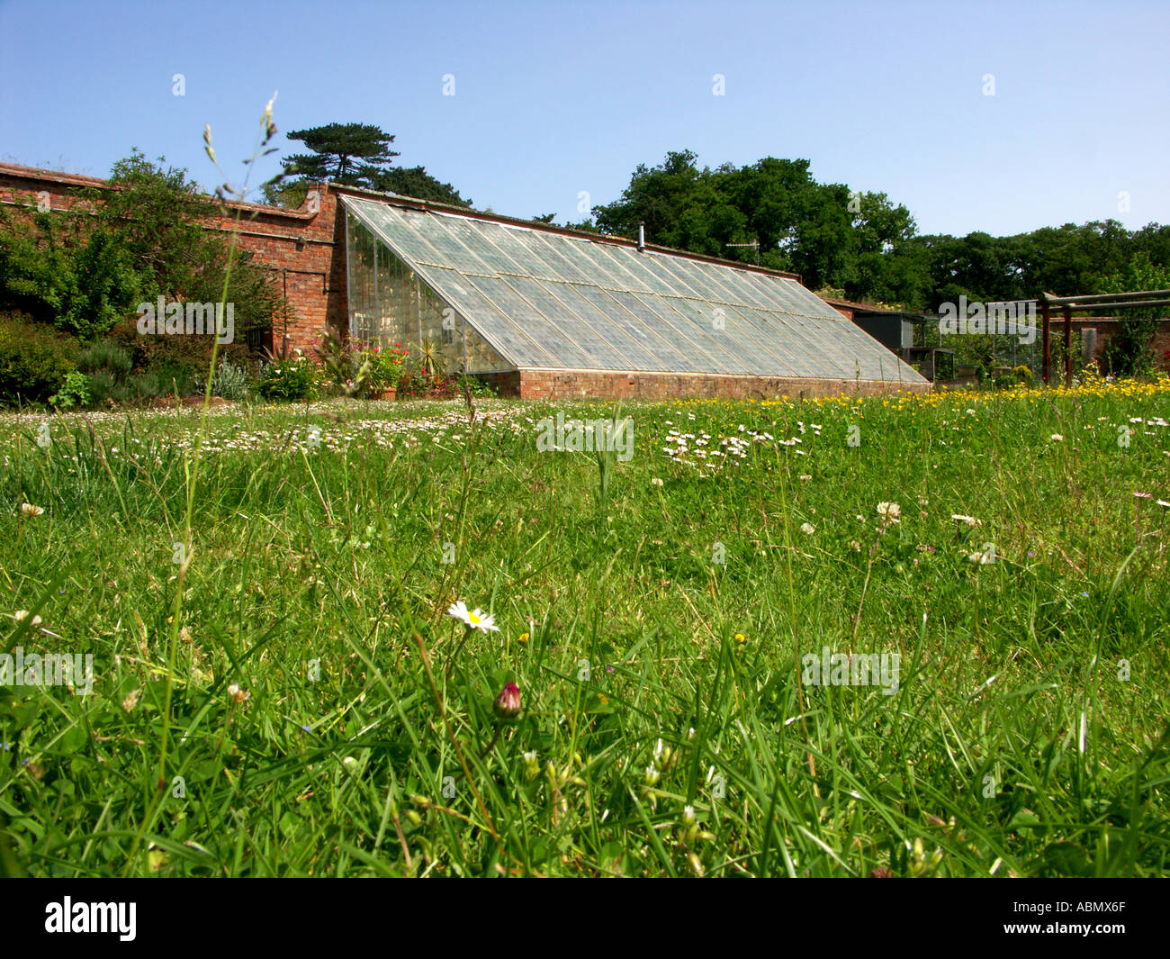low to the ground view of a walled garden with victorian glass house ...