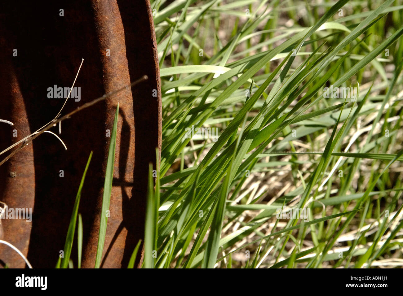 Rusted steel wheel in the Sukanen Pioneer Village Stock Photo - Alamy