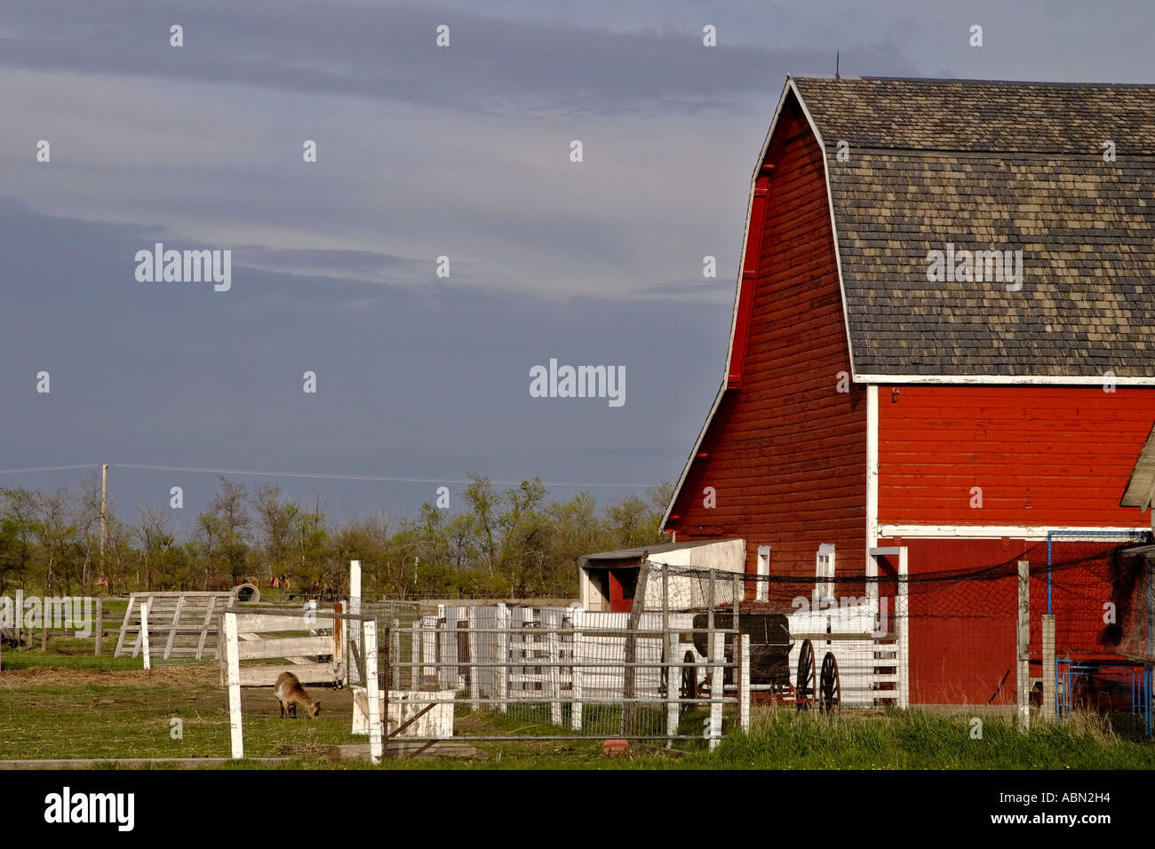 Old corrals hi-res stock photography and images - Alamy