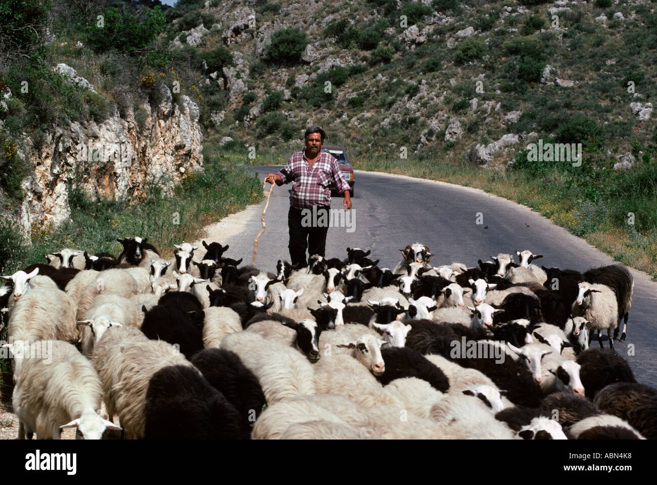 Shepherd Crete Greece High Resolution Stock Photography and Images - Alamy