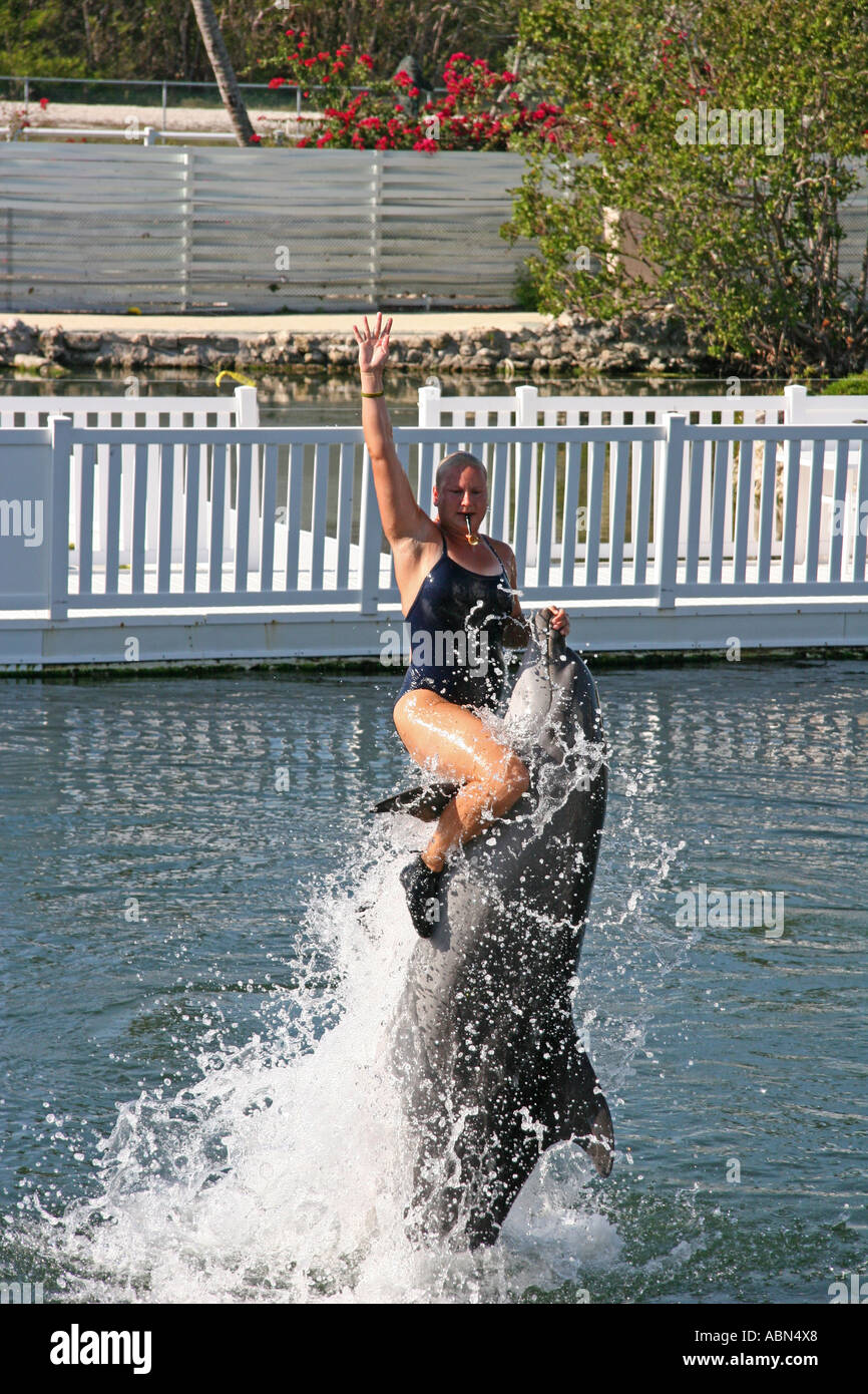 Inshore dolphins hi-res stock photography and images - Alamy