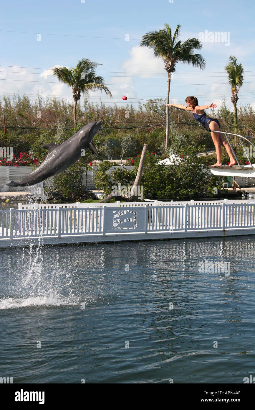 Inshore dolphins hi-res stock photography and images - Alamy