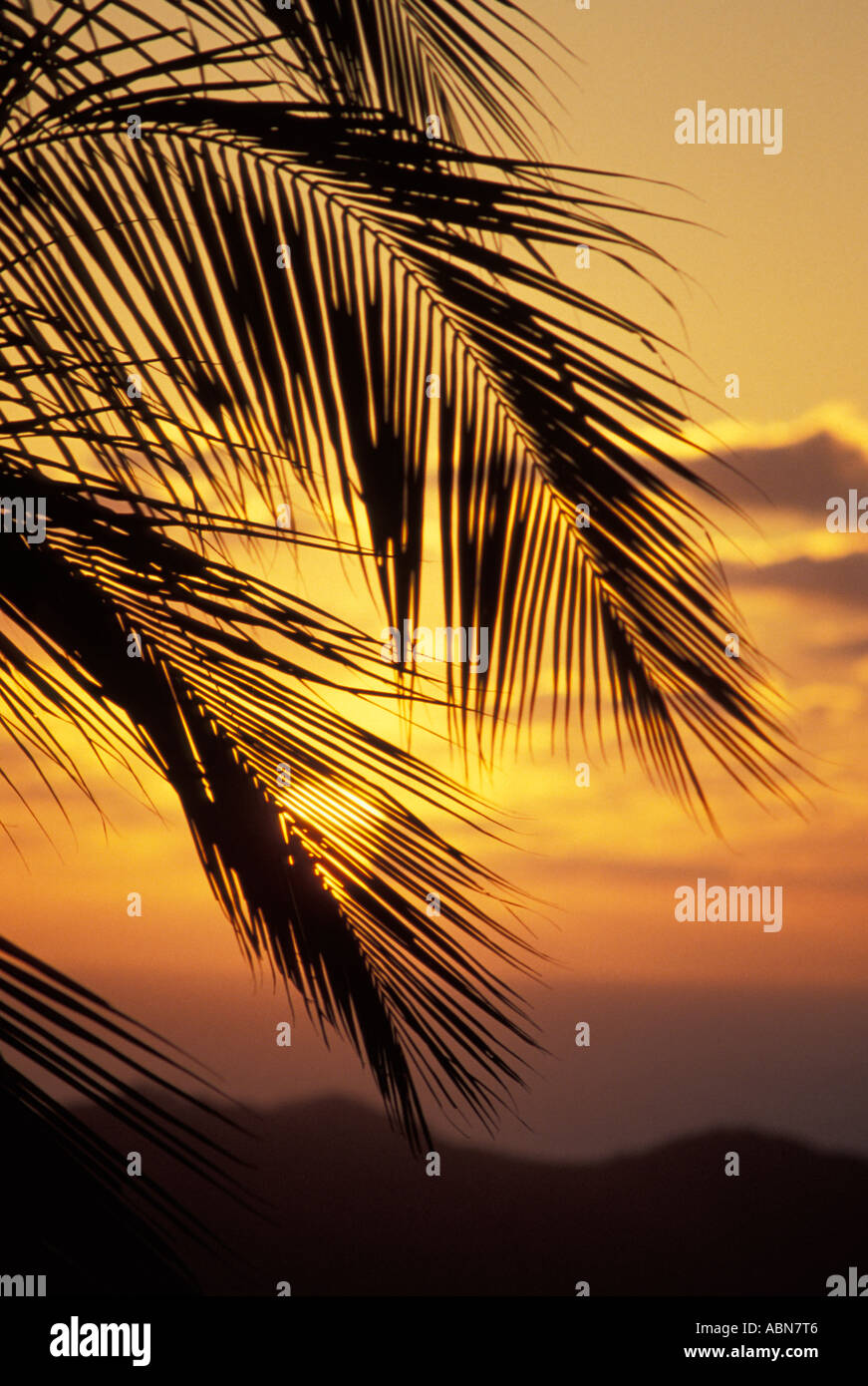 Acapulco sunset Mexico Stock Photo - Alamy