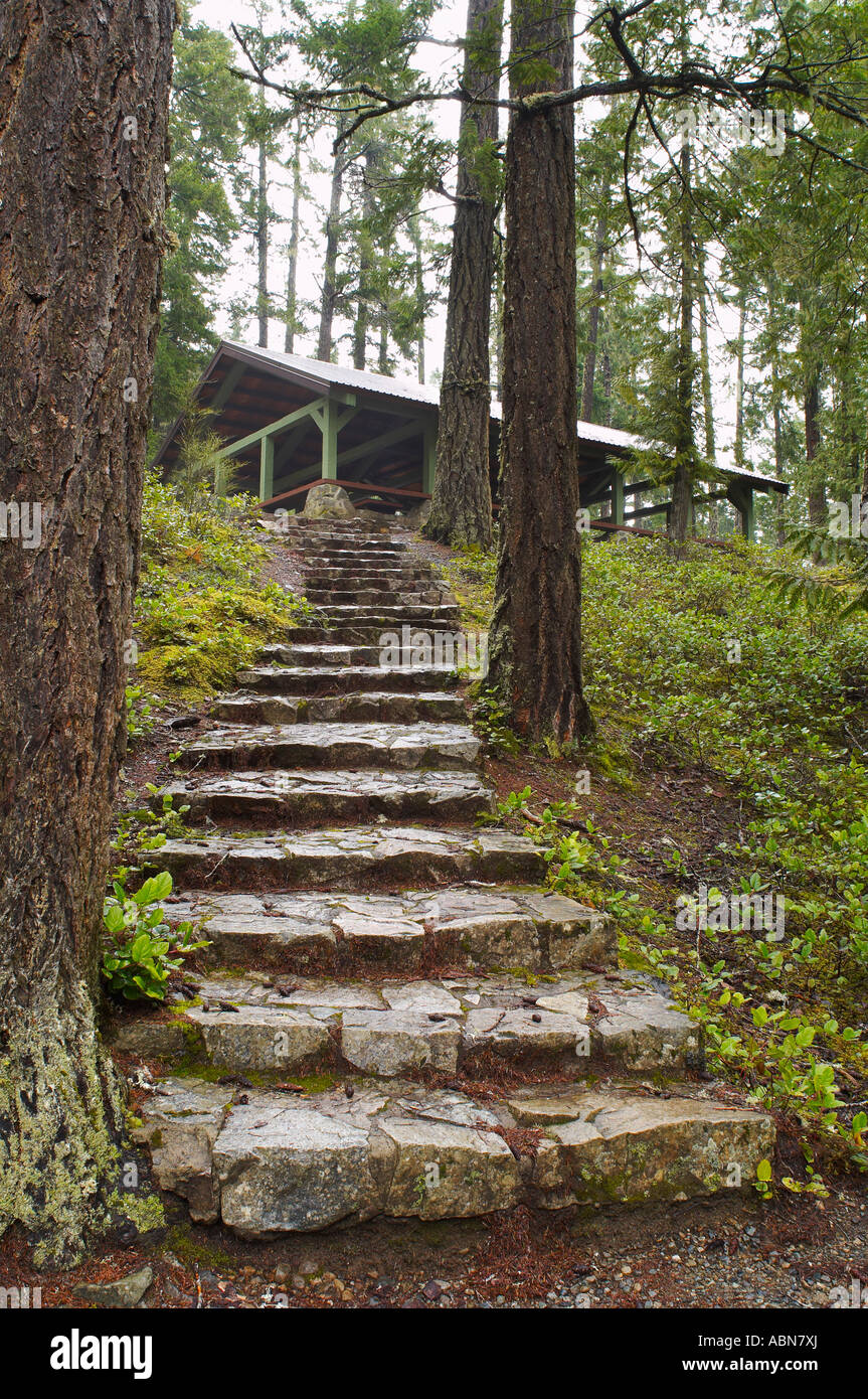 Stairs in Forest Stock Photo - Alamy
