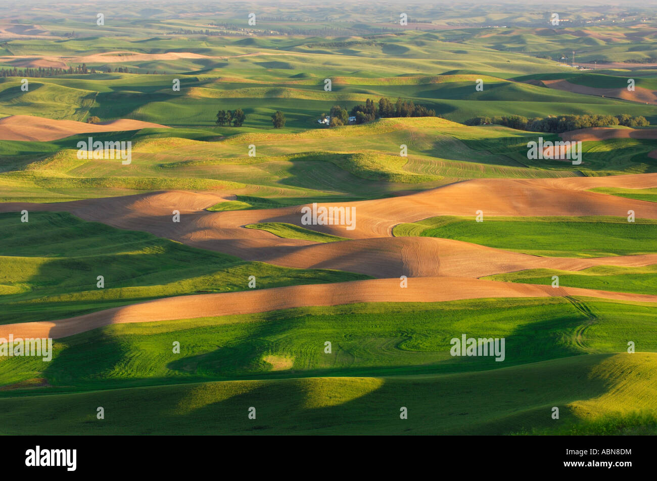 View From Steptoe Butte State Park, Palouse, Washington, USA Stock ...