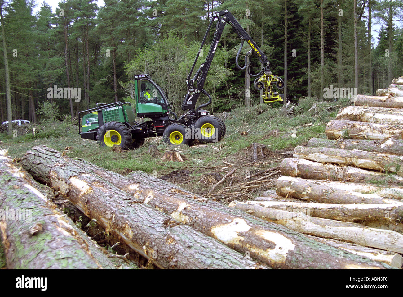 Forestry harvestor tractors cutting trees Stock Photo - Alamy