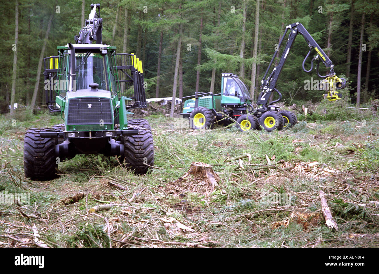 Forestry harvestor tractors cutting trees Stock Photo - Alamy