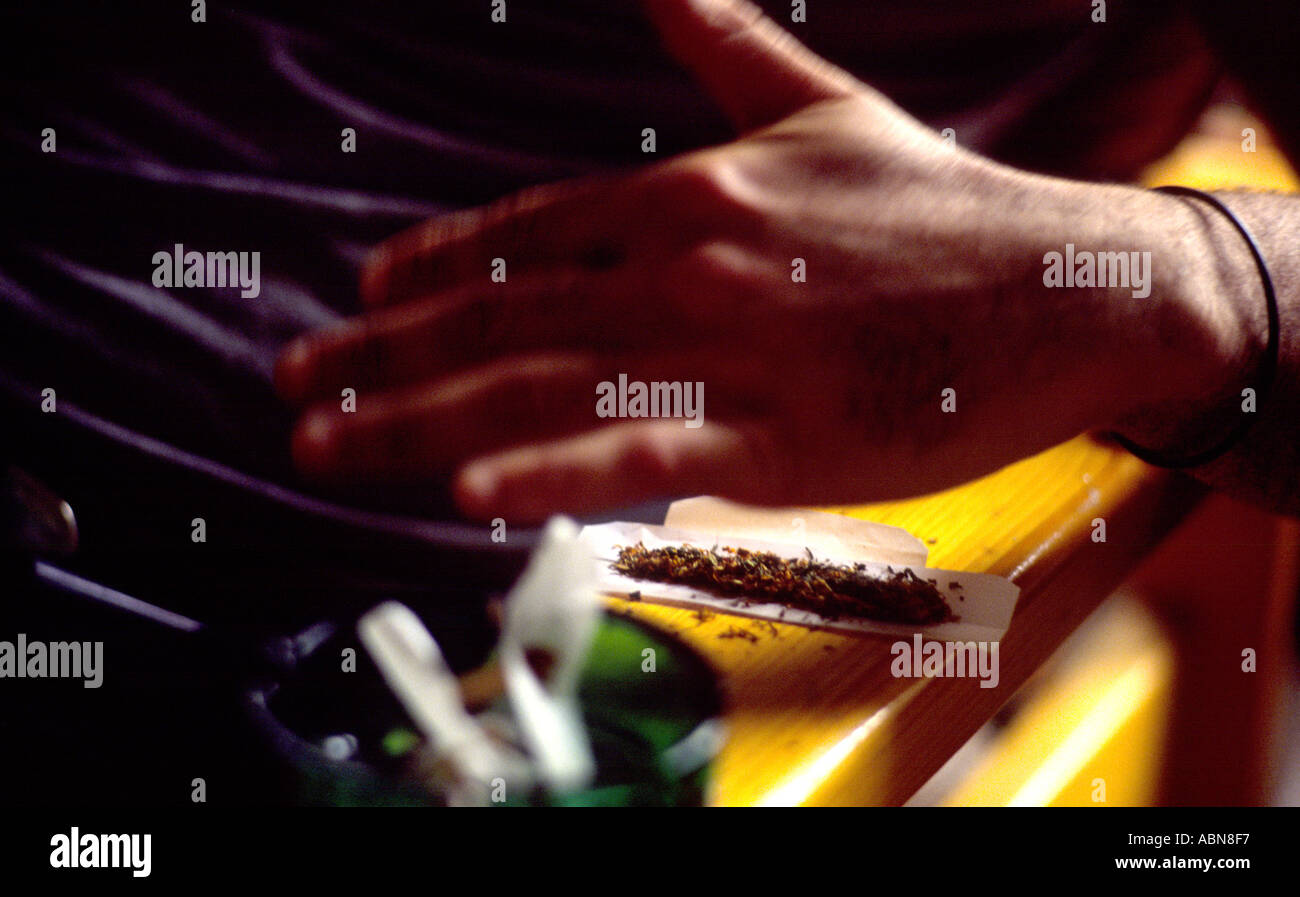 Rolling a cannabis cigarettte, joint, spliff Stock Photo - Alamy