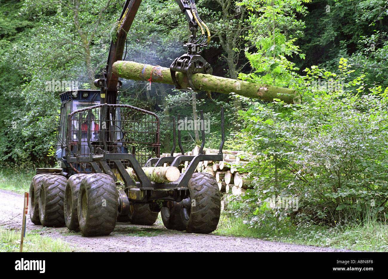 Forestry tractor loading trees in forest Stock Photo - Alamy