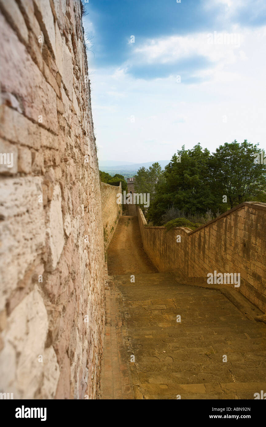 Close up narrow pathway hi-res stock photography and images - Alamy