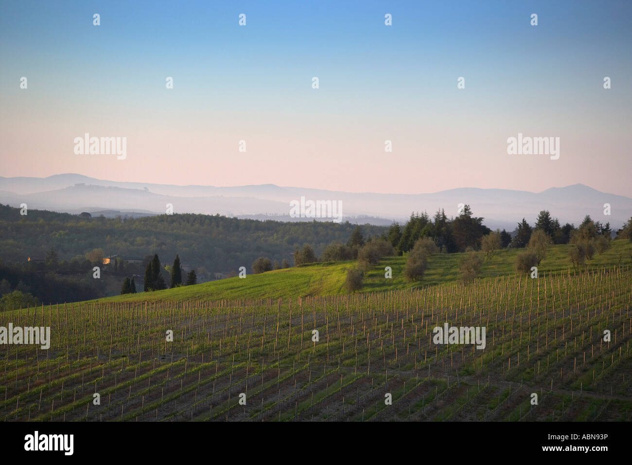 Monaciano, Tuscany, Italy Stock Photo - Alamy