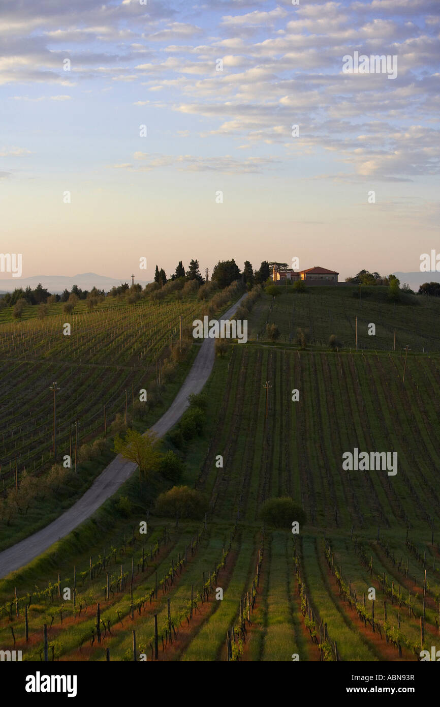 Monaciano, Tuscany, Italy Stock Photo - Alamy