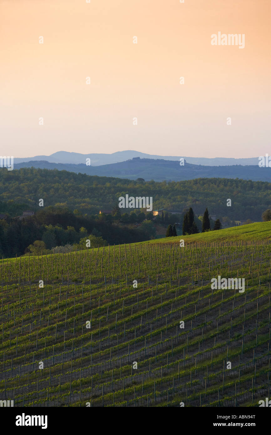 Landscape, Monaciano, Tuscany, Italy Stock Photo - Alamy