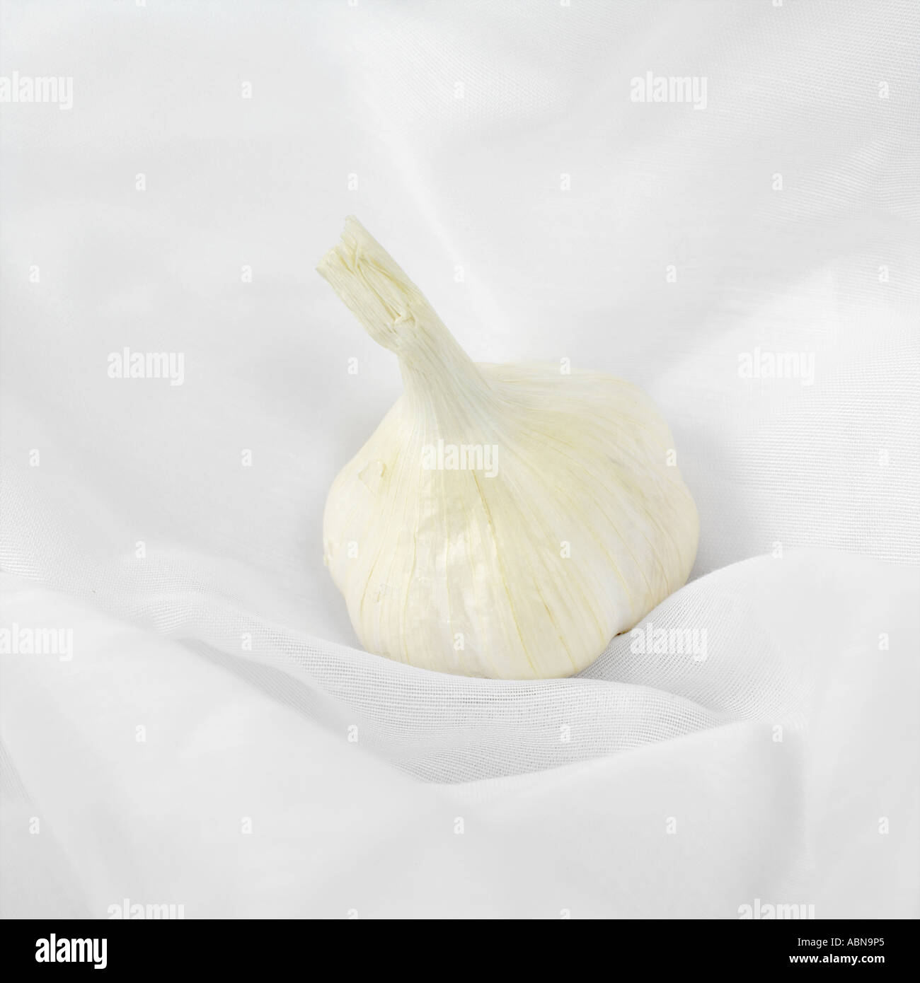One clove garlic on hi-res stock photography and images - Alamy