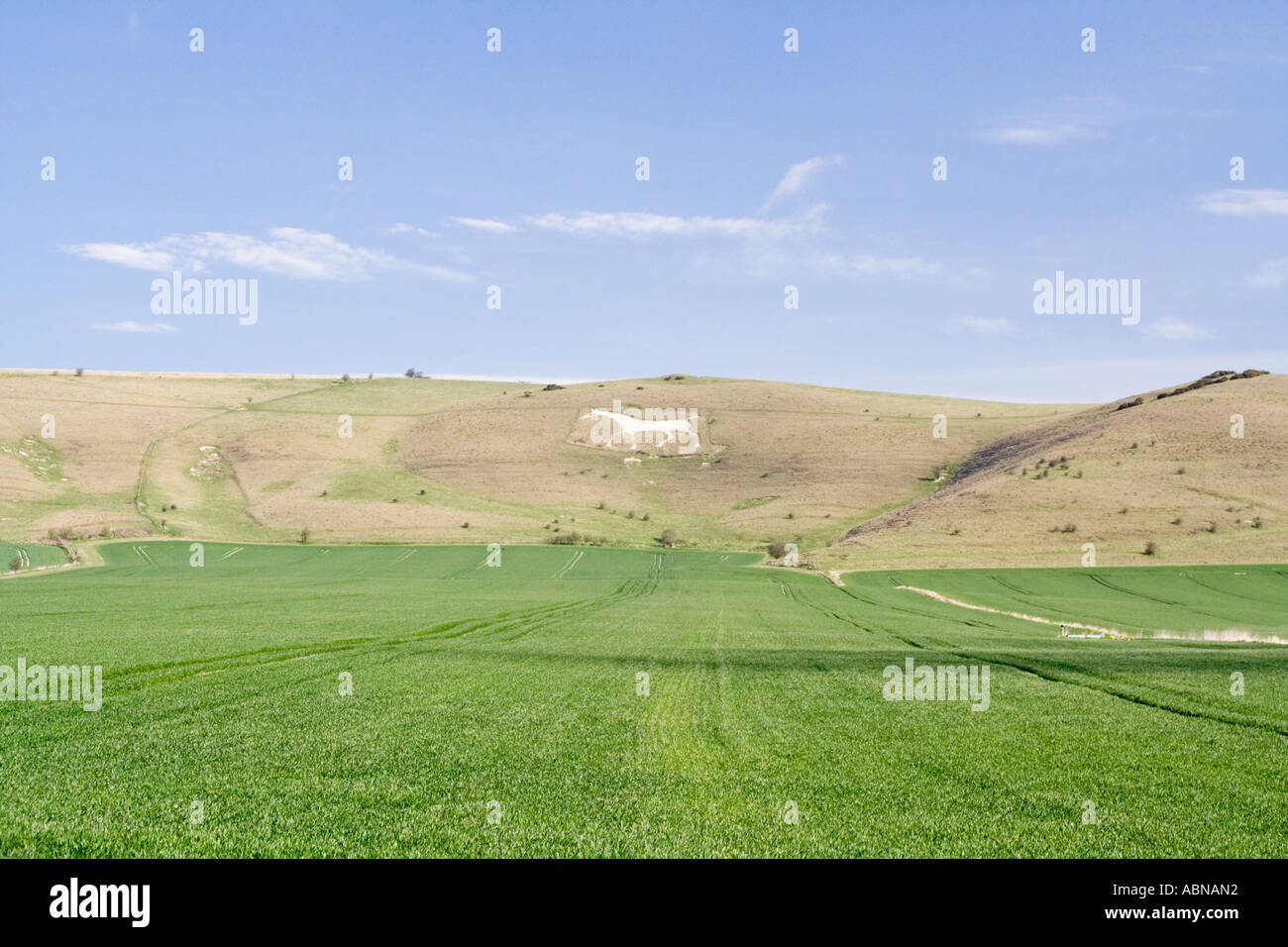Pewsey white horse wiltshire uk hi-res stock photography and images - Alamy