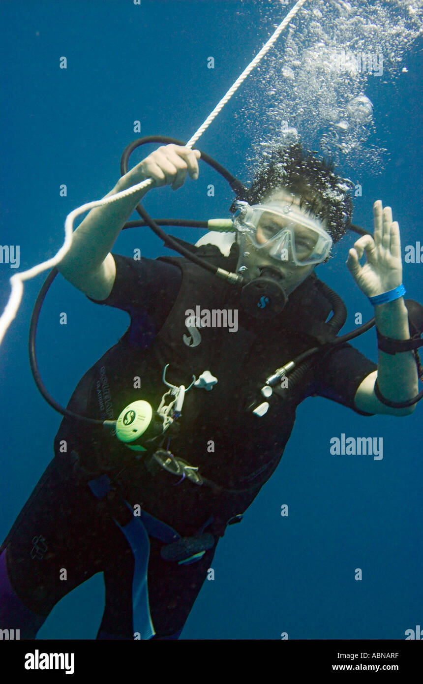 Scuba diver holding on line anchor underwater and giving OK sign Stock ...