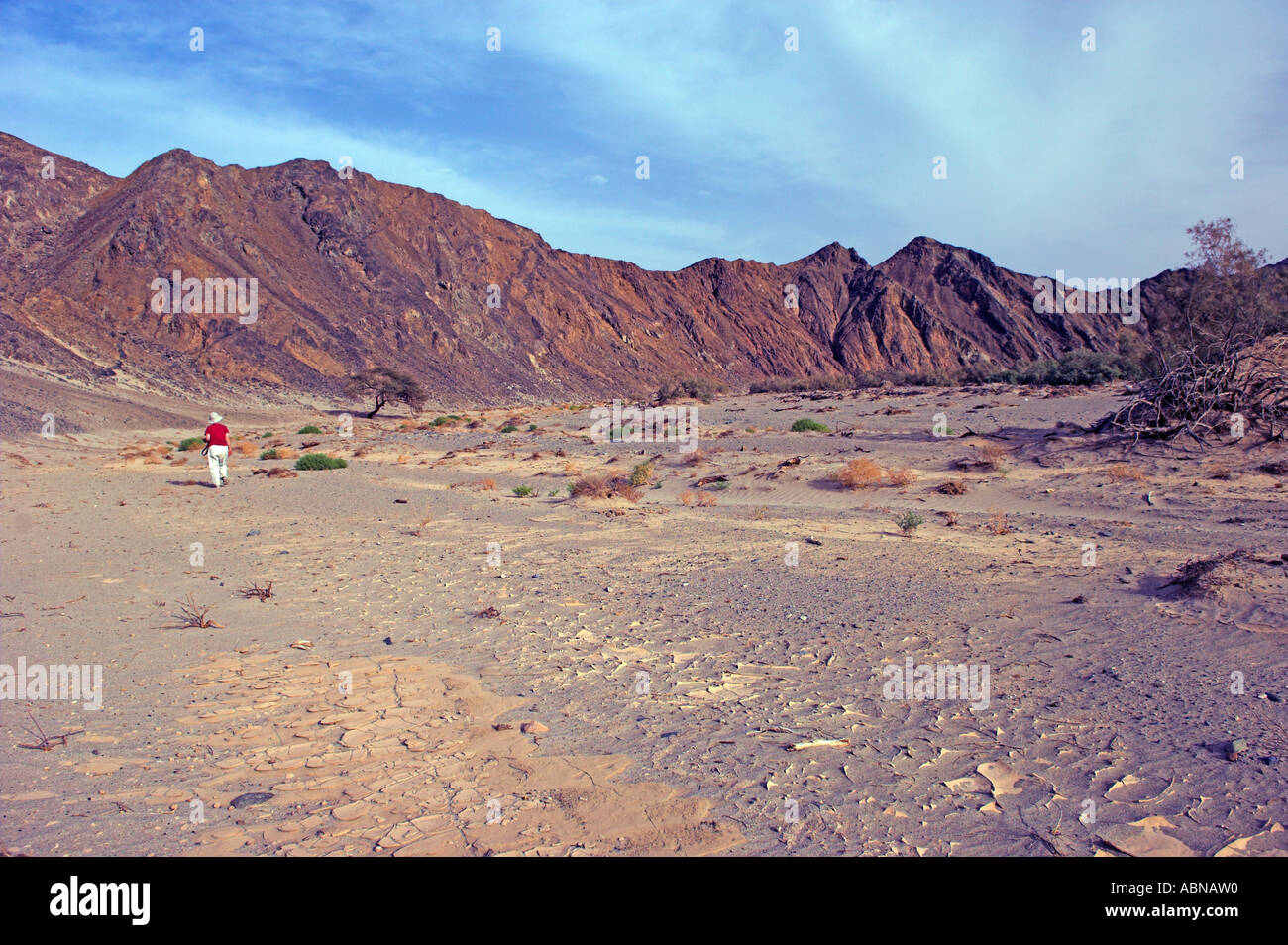 Mountains and dry river valley in the Egyptian desert Stock Photo - Alamy