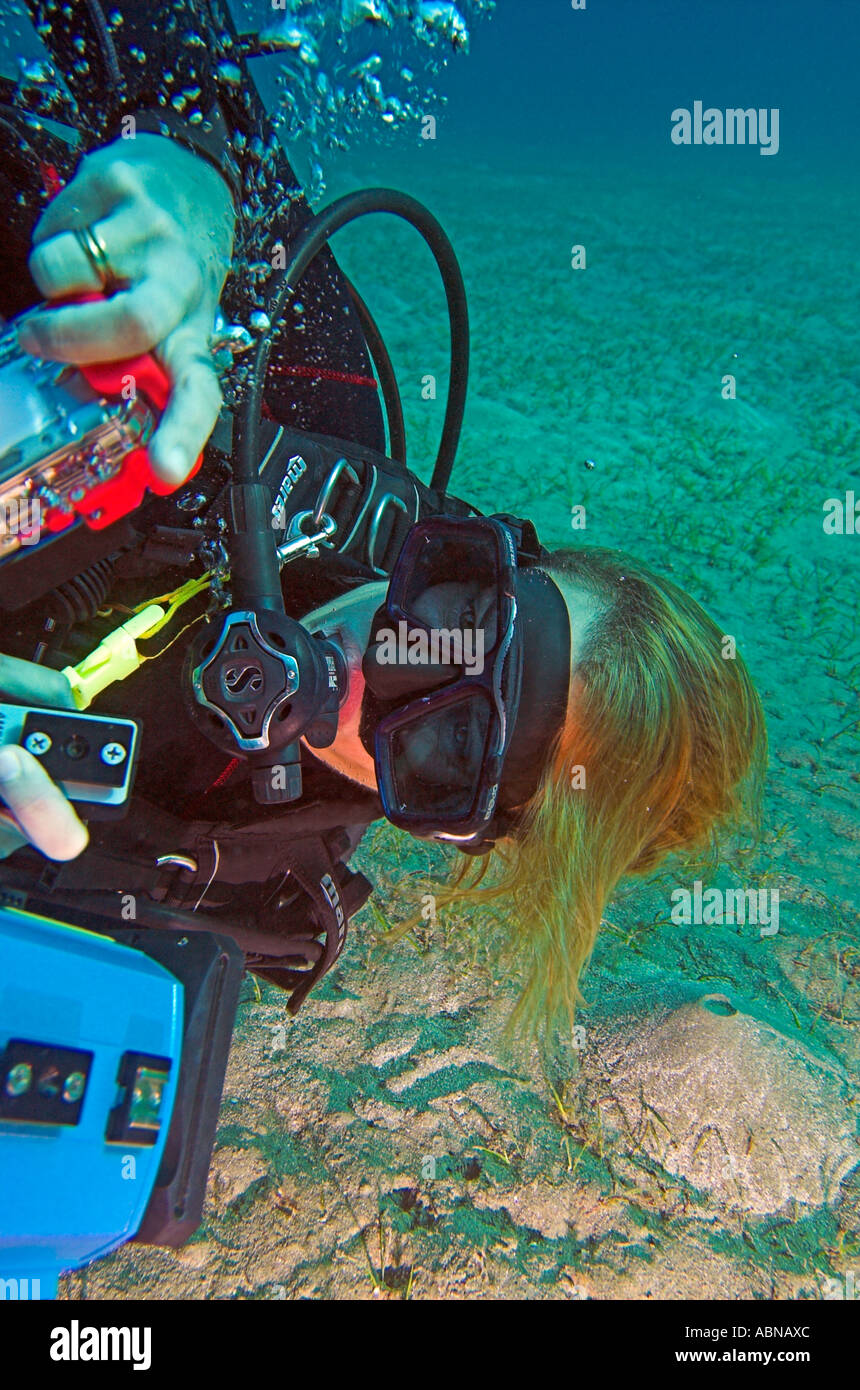 Woman Scuba diver holding camera underwater Stock Photo - Alamy