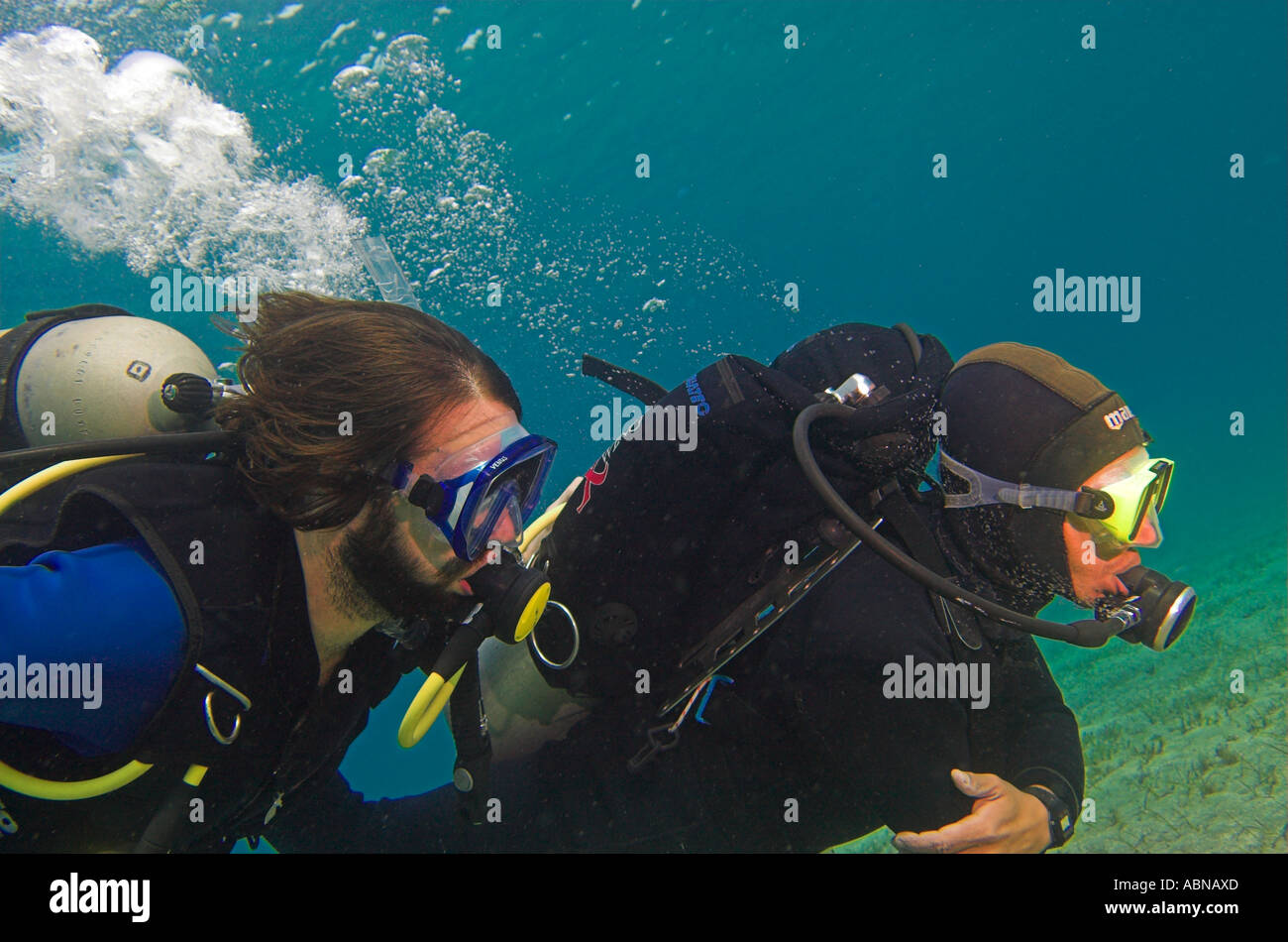 Two scuba divers swimming side by side buddy breathing Red Sea Stock ...