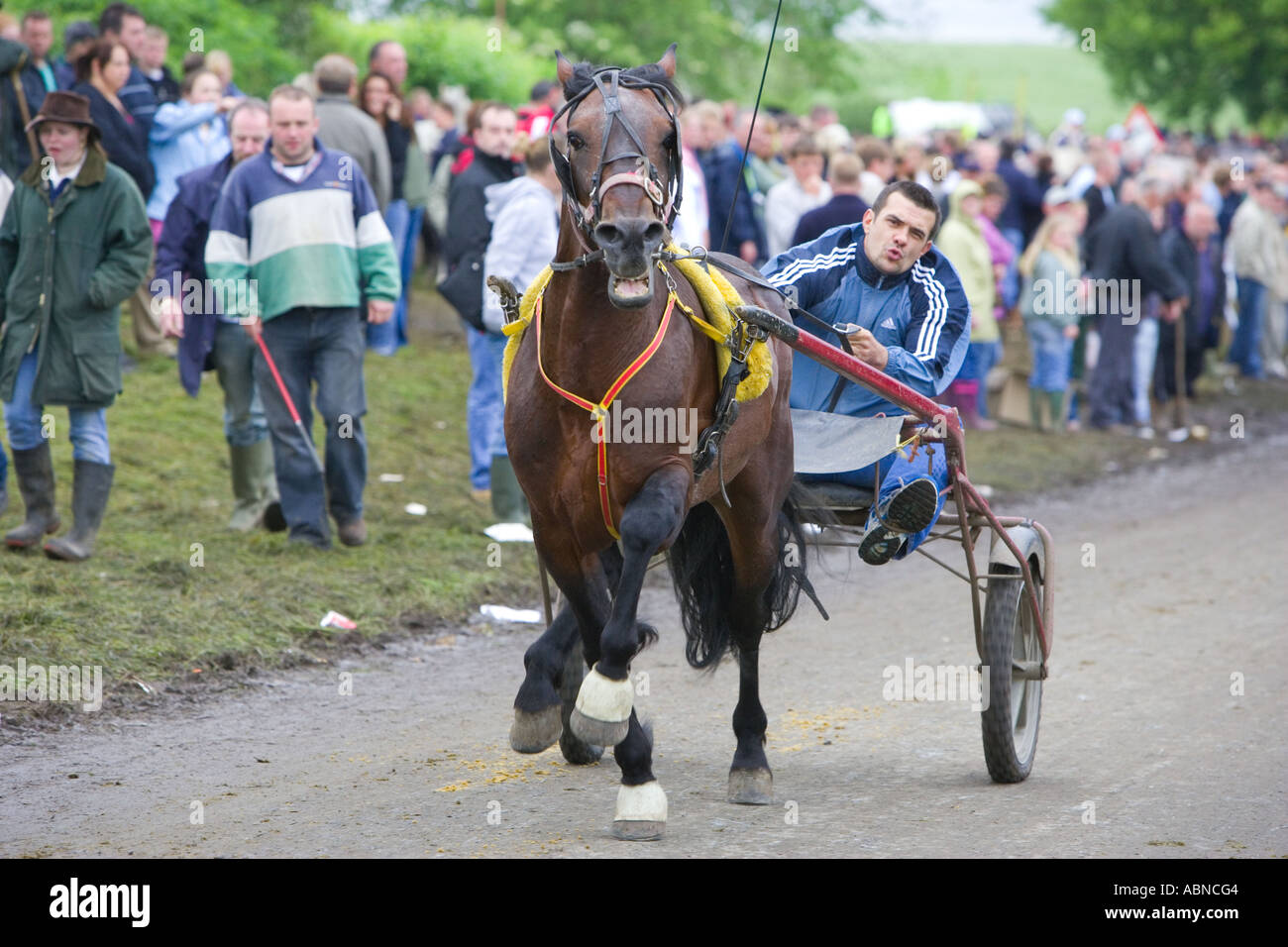 Trap racing hi-res stock photography and images - Alamy
