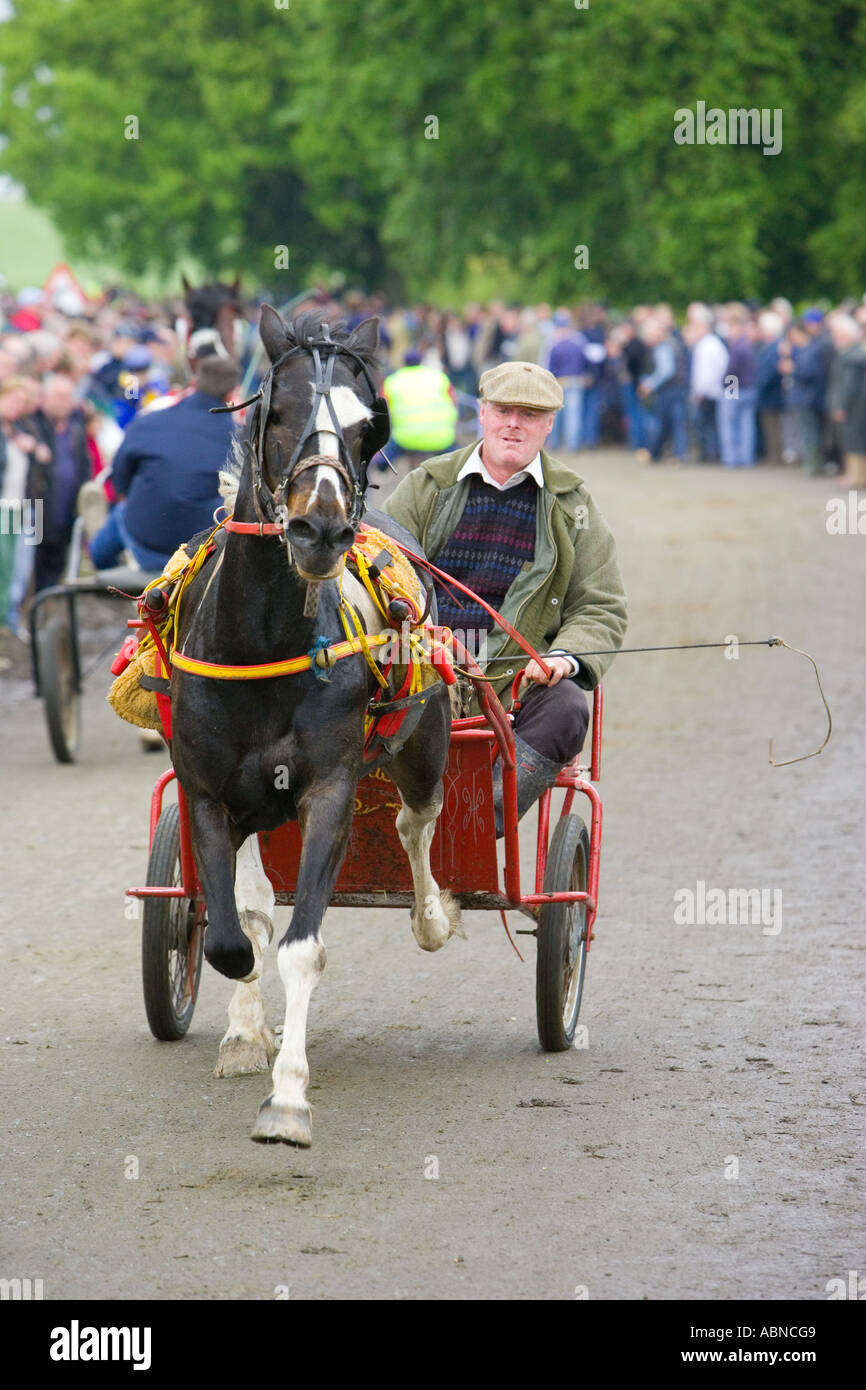 Trap racing hi-res stock photography and images - Alamy