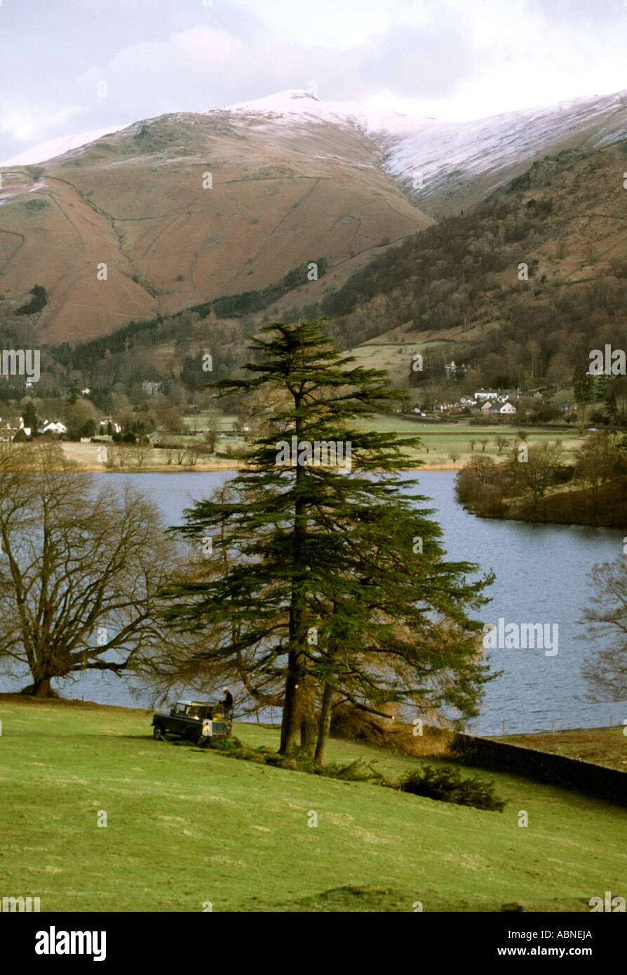 Working farm lake district hi-res stock photography and images - Alamy