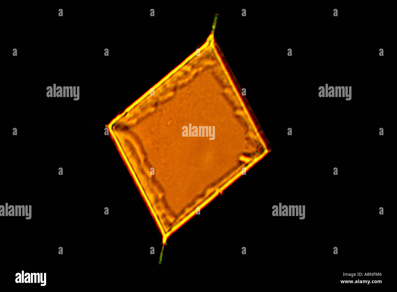 Crystal of Potassium ferricyanide Stock Photo - Alamy