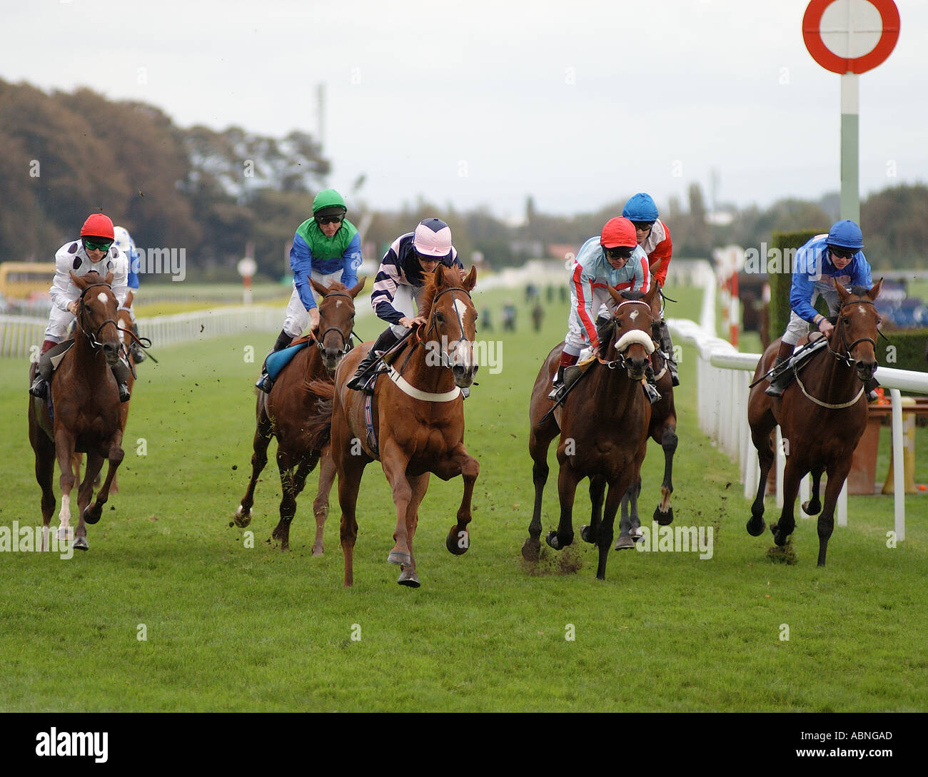 Haydock race hi-res stock photography and images - Alamy