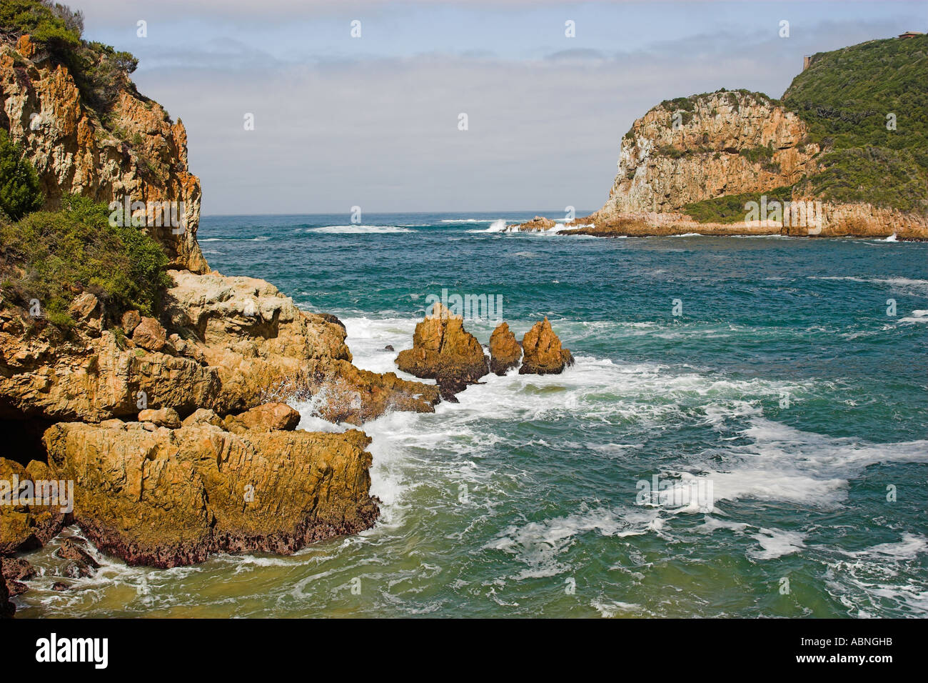 Foam heads hi-res stock photography and images - Alamy