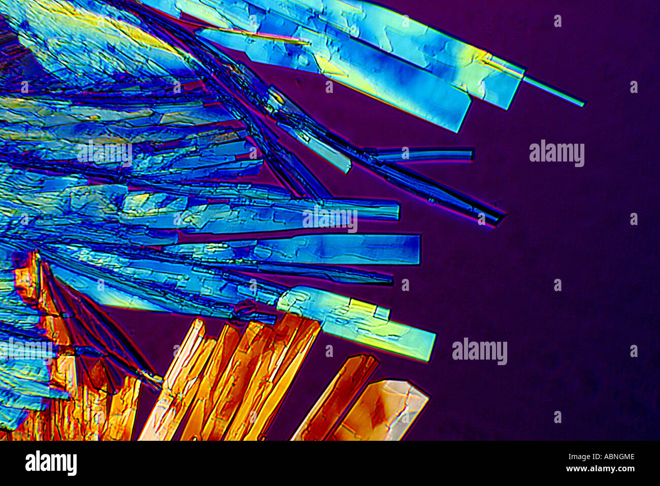 Polarizing microscope hi-res stock photography and images - Alamy