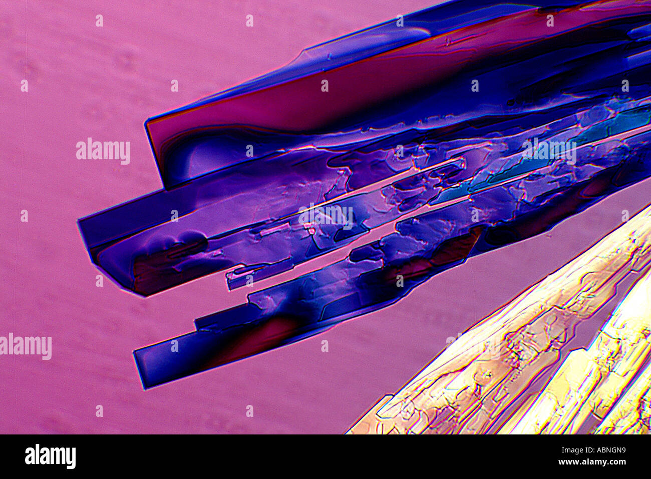 Polarizing microscope hi-res stock photography and images - Alamy