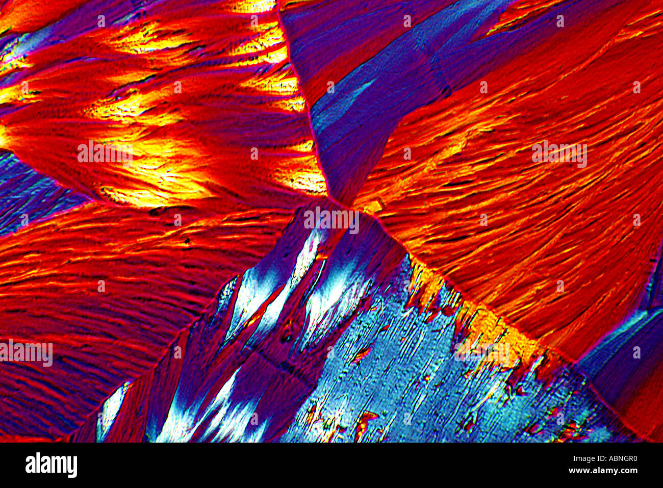 Low magnification photomicrograph of Napthalene/Hexachlorethane mixture ... Low magnification photomicrograph of Napthalene/Hexachlorethane mixture ...