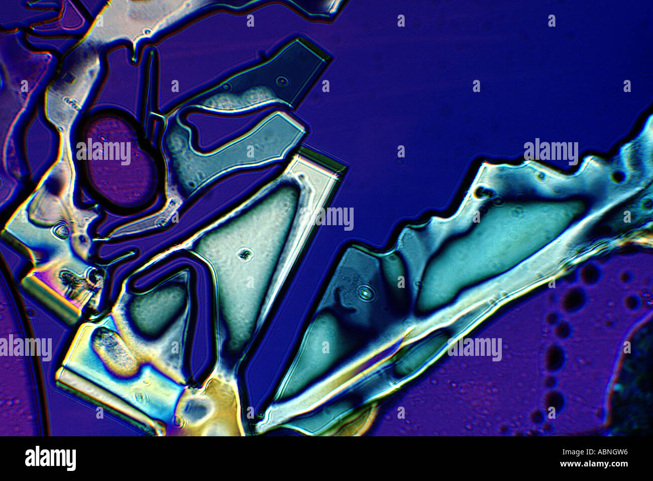 Metallic looking crystals from organic salt mix; photographed under ...