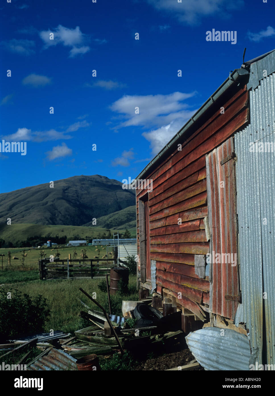 Wool shed new zealand hi-res stock photography and images - Alamy
