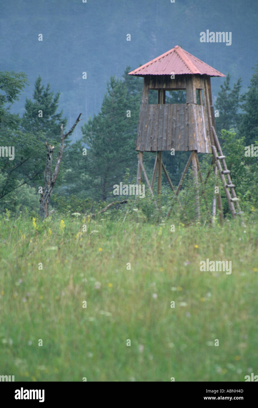 Wooden Watch Tower Slovenia, possibly used in WW2 Stock Photo - Alamy