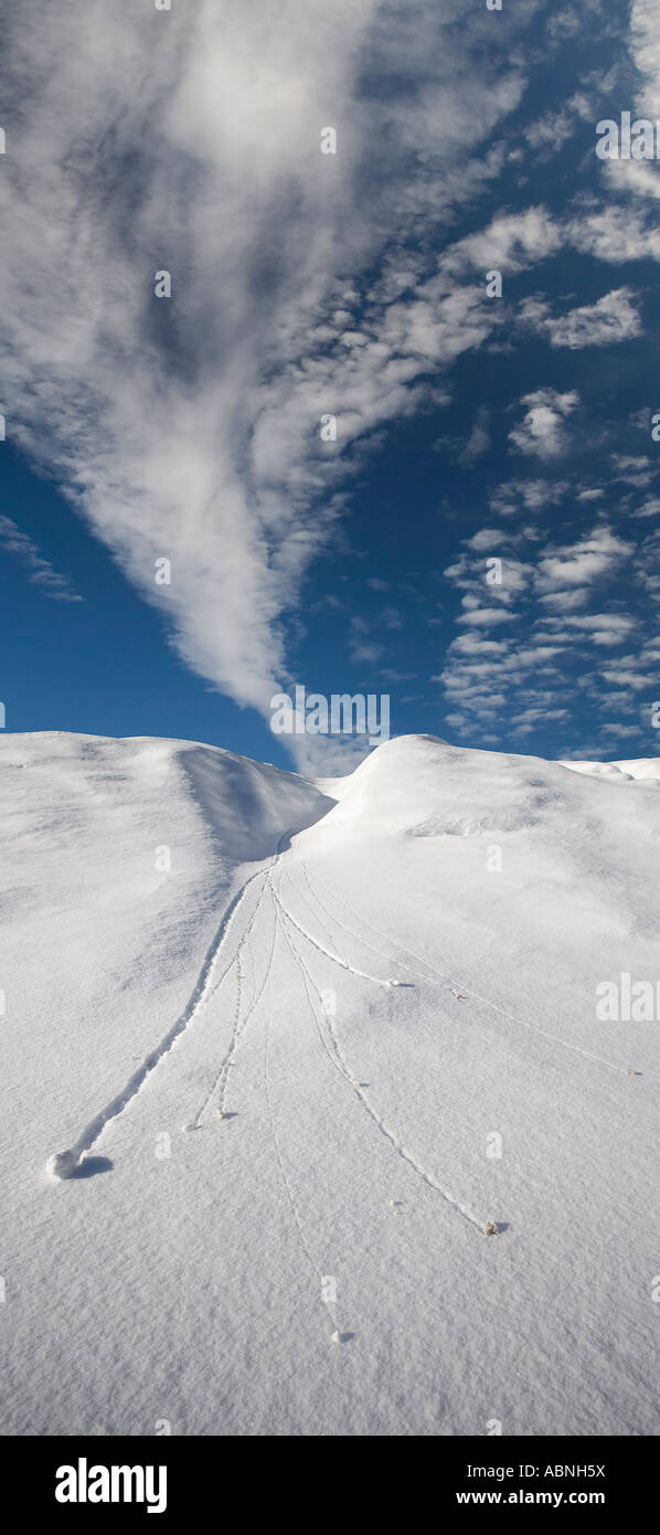 Snow ball rolling down hill hi-res stock photography and images - Alamy