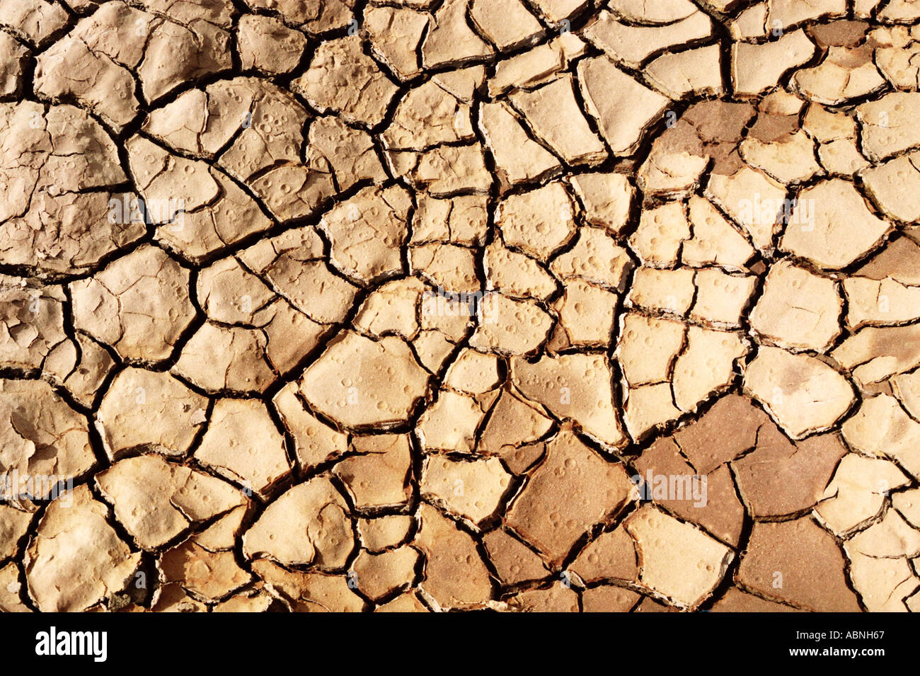 Dried Mud Western Desert Egypt Stock Photo - Alamy