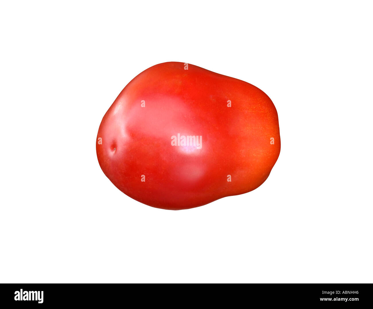Single red tomato on a white background Stock Photo - Alamy