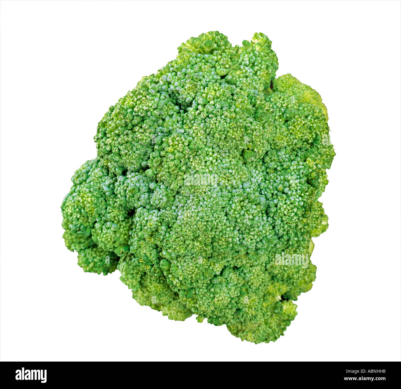 Top view of broccoli on a white background Stock Photo - Alamy