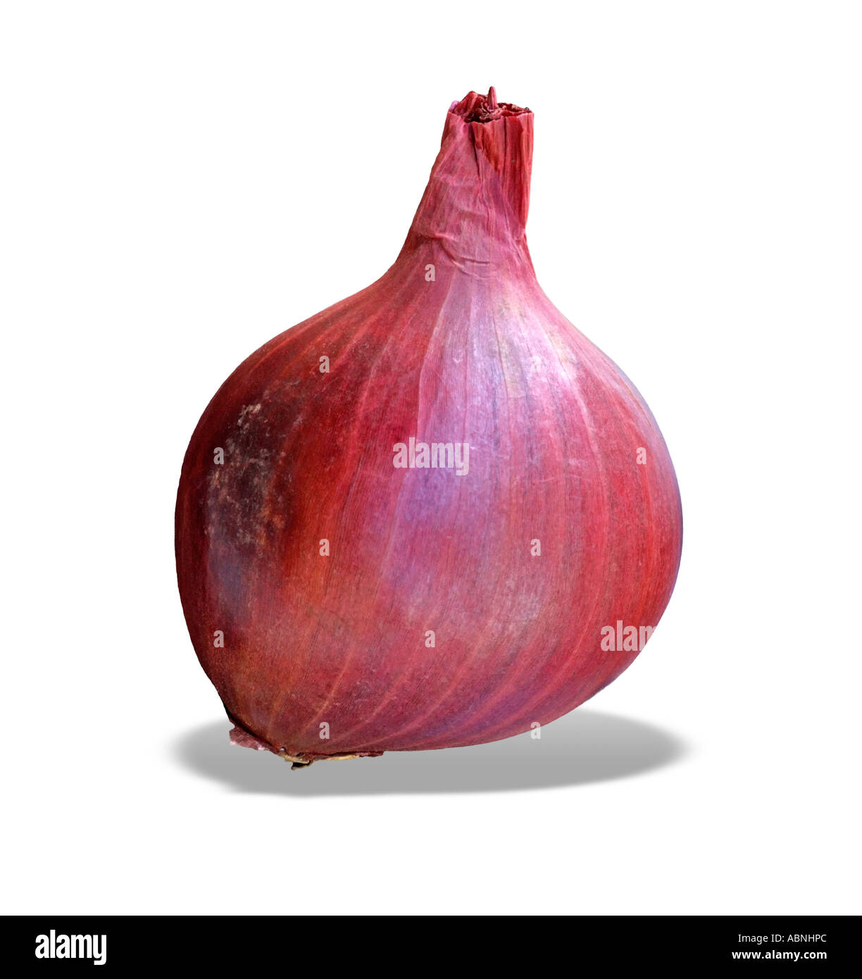 Red onion on a white background with a shadow Stock Photo - Alamy