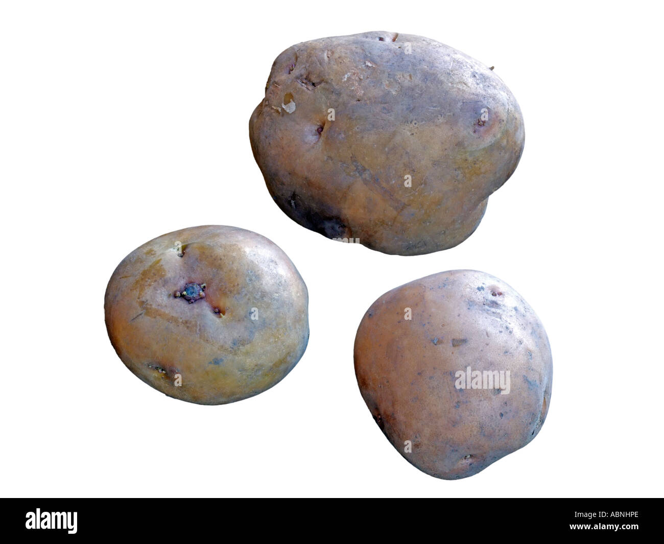 Three potatoes on a white background Stock Photo - Alamy