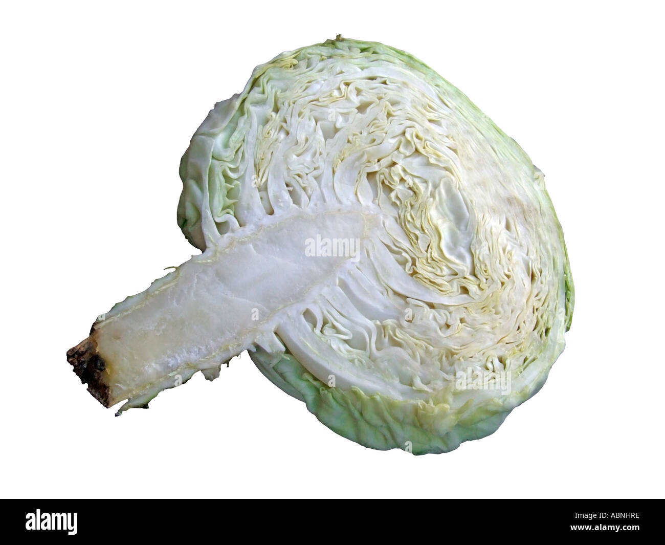 Cabbage cut in half on a white background Stock Photo - Alamy