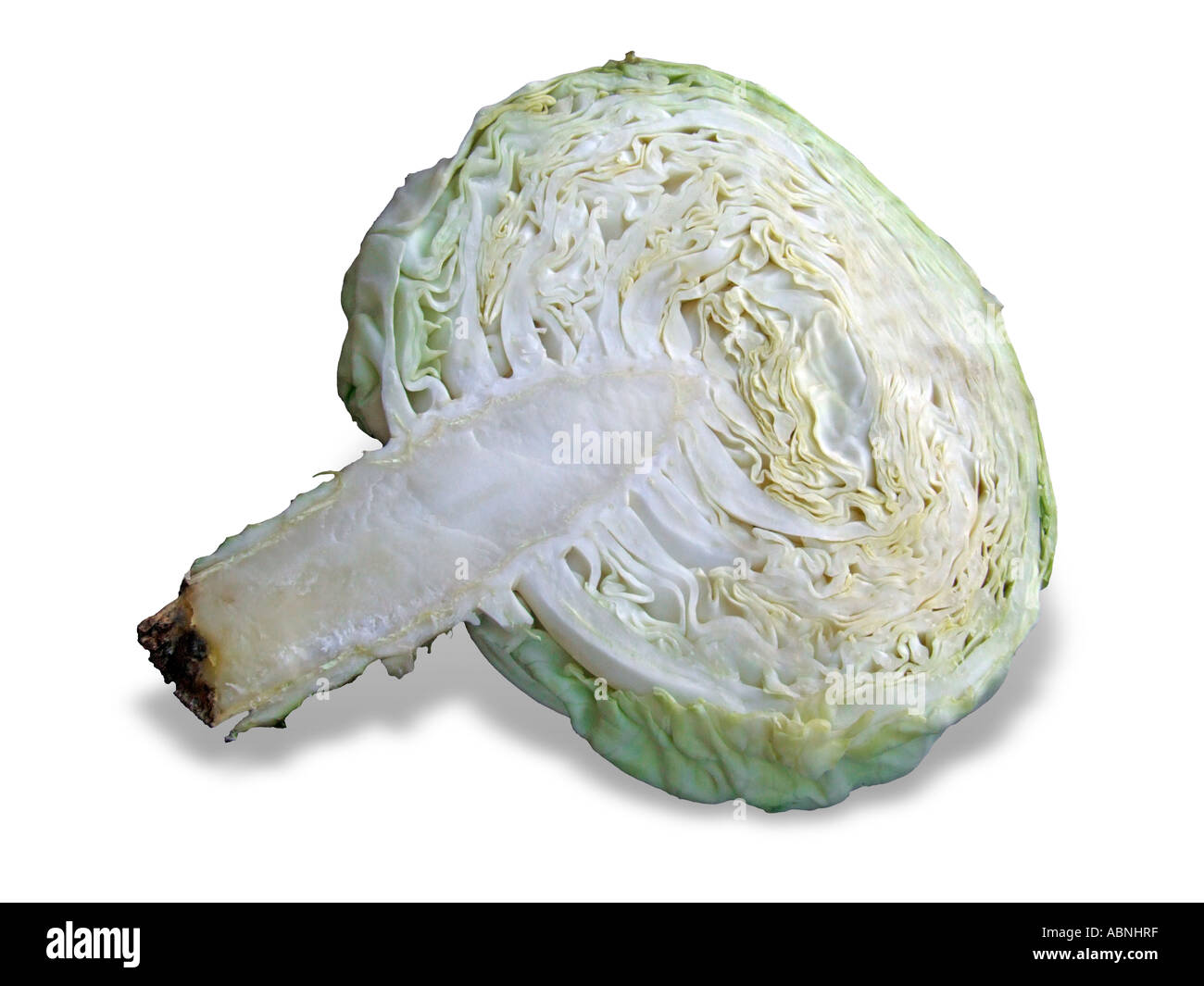 Cabbage cut in half on a white background with a shadow Stock Photo - Alamy