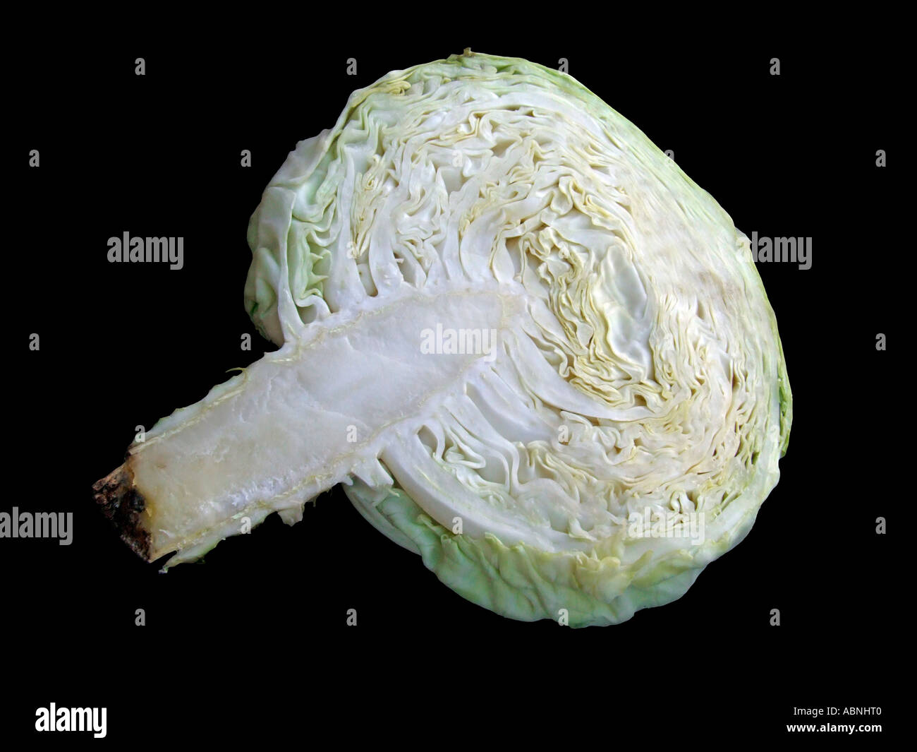 Black half Cut Out Stock Images & Pictures - Alamy